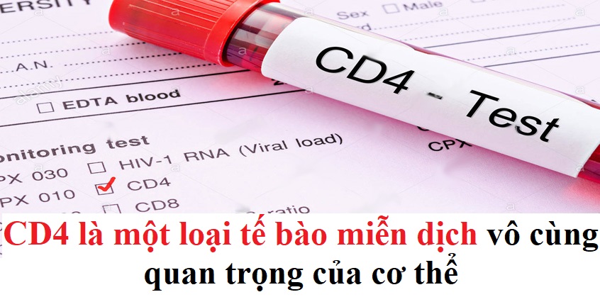 Làm sao để tăng số lượng tế bào CD4? - Bác sĩ Thắng